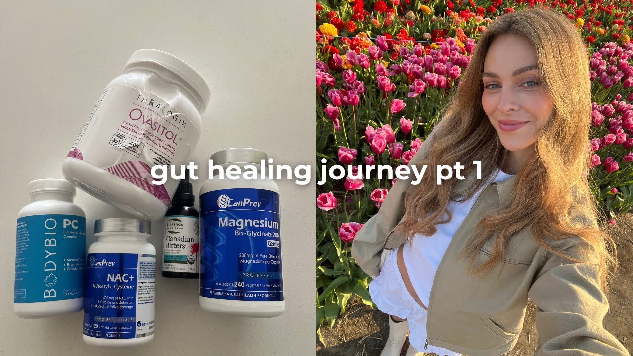 gut healing journey part 1 | gi map results, holistic protocol for h ...