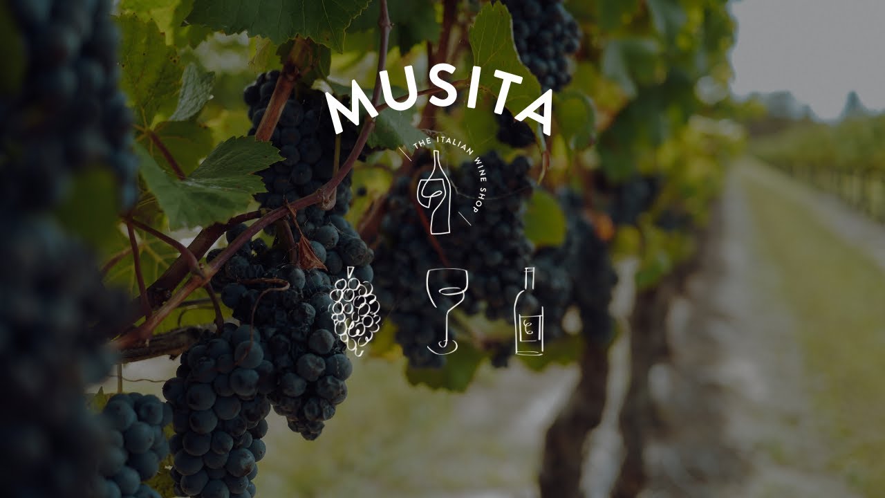 INTRODUCING | MUSITA VINEYARD | SICILY MONTH - YouTube