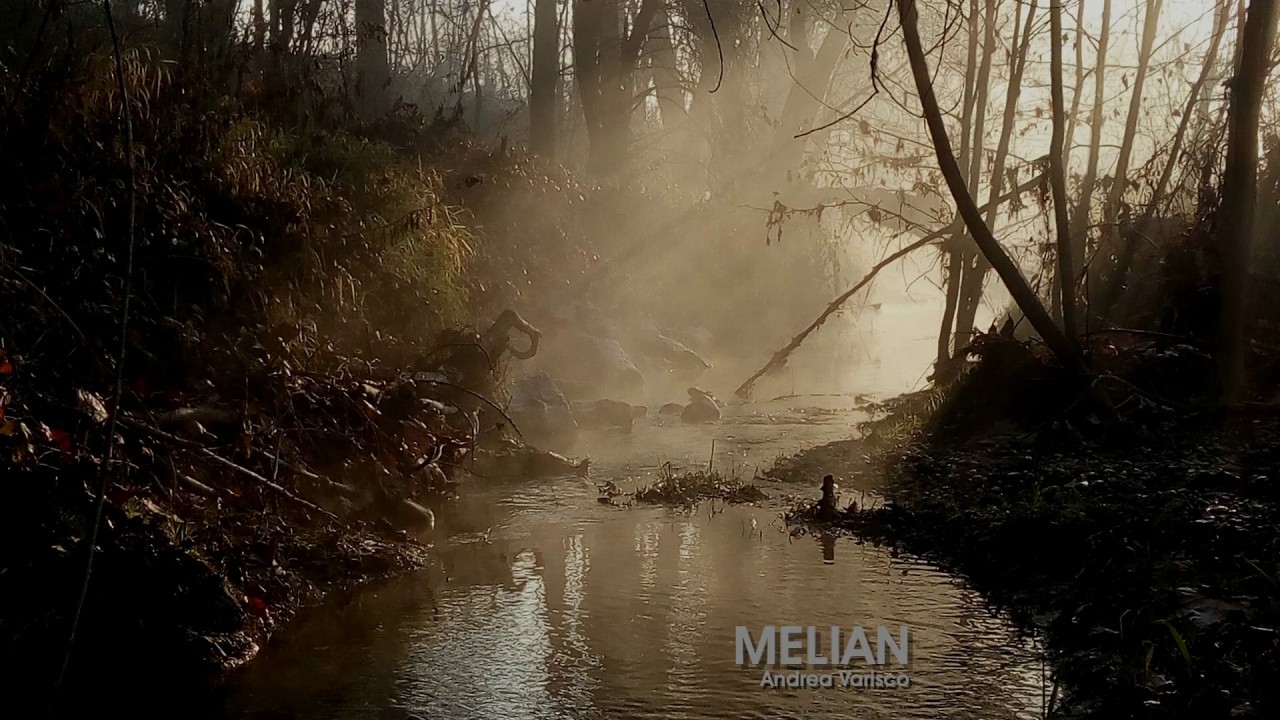 Andrea Varisco - Melian - YouTube
