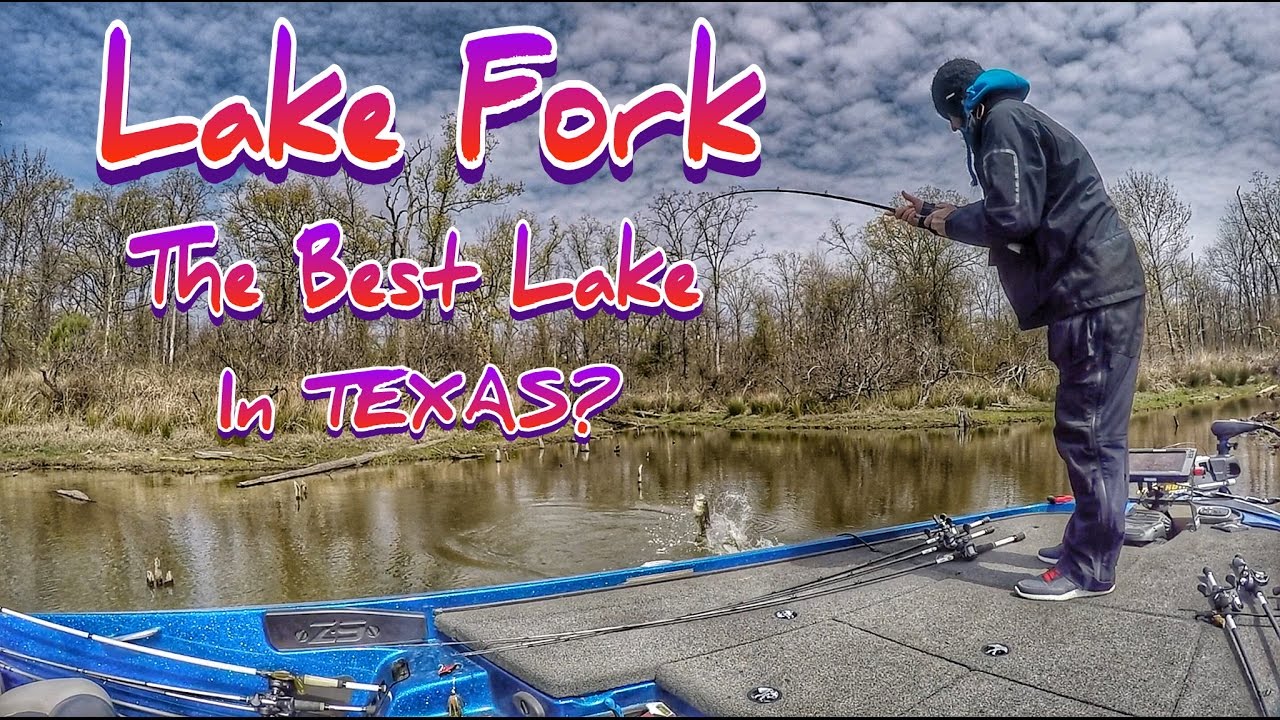Lake Fork The Best Lake In Texas? - YouTube