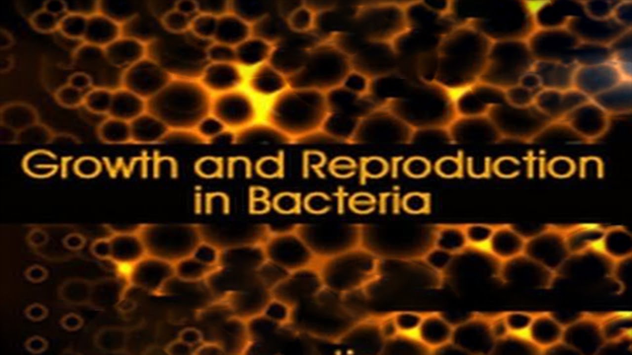 Growth and Reproduction in Bacteria - YouTube