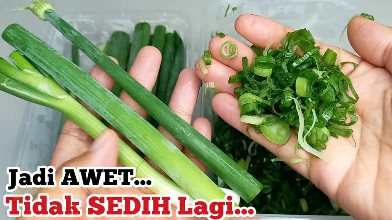 Begini Cara Menyimpan Daun Bawang Agar Tahan Lama Awet Berbulan Bulan