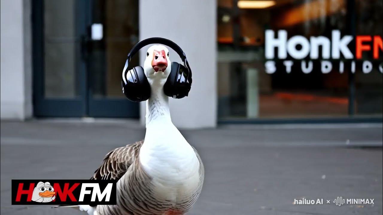 HonkFM - update - YouTube