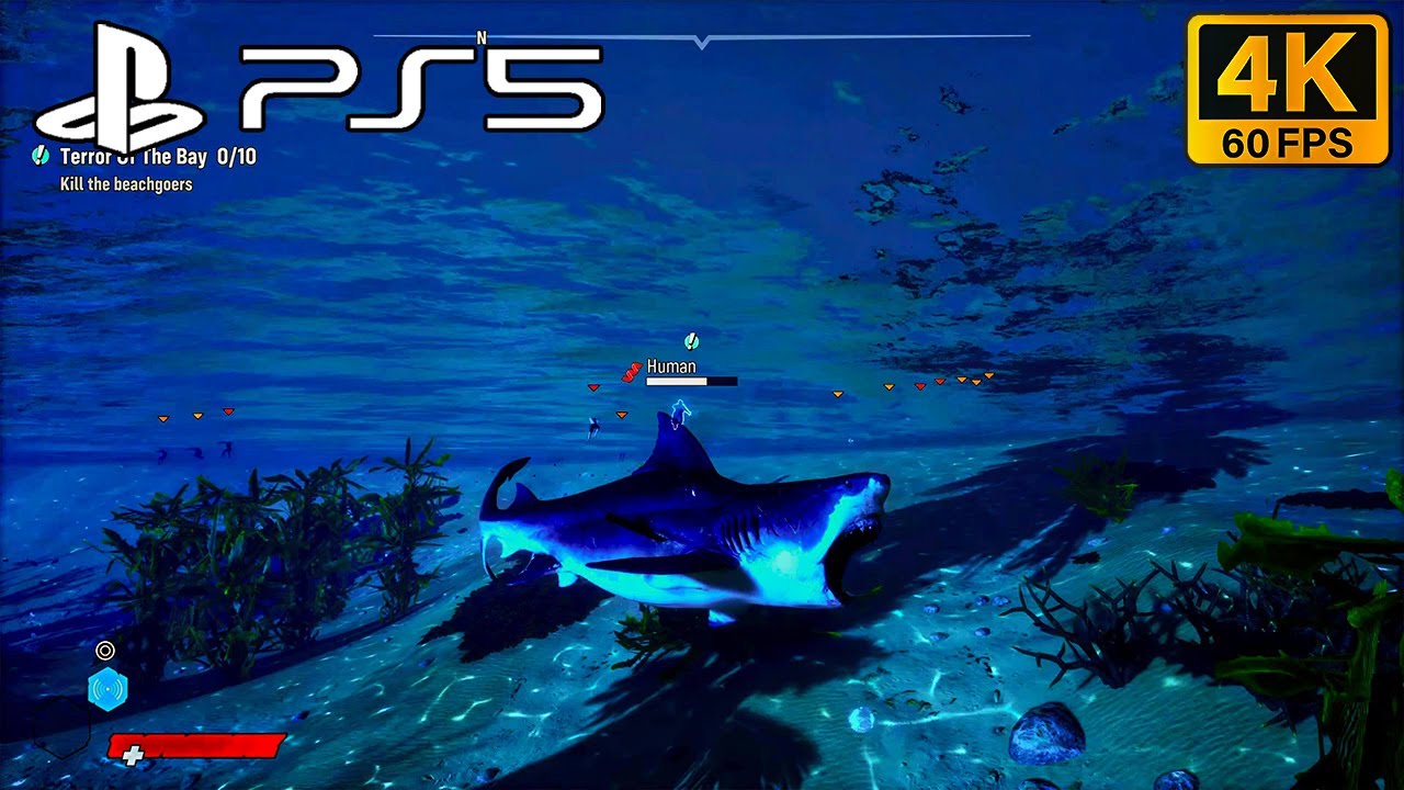 Maneater Gameplay [4K 60FPS] (PS5) - YouTube
