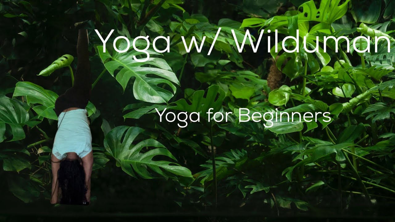 New 10 Minute Relaxing Yoga for Beginners | Bedtime Routine Aura - YouTube