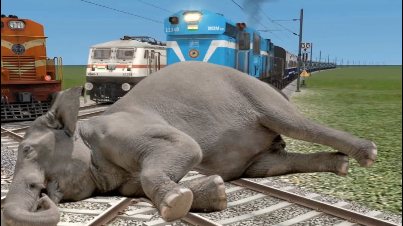 Sleeping Big Elephant vs big Trains - stops the train | Train Simulator ...