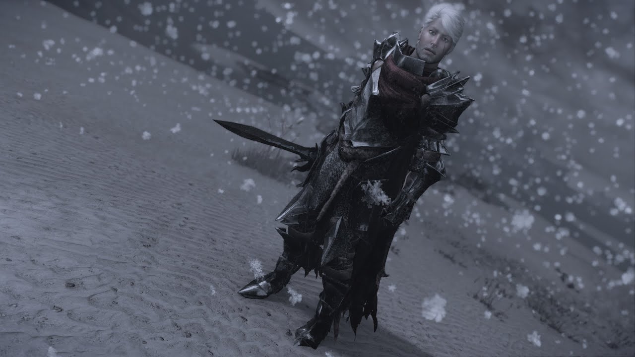 Skyrim Dragon Age II Champion Warrior Armor SMP SE (Regular Edition ...