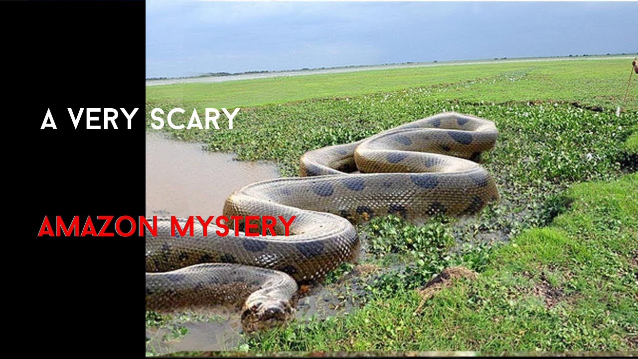 A Very Scary Amazon Mystery - YouTube