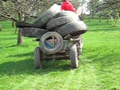 PANTEra roz din CHECHIS patea 1