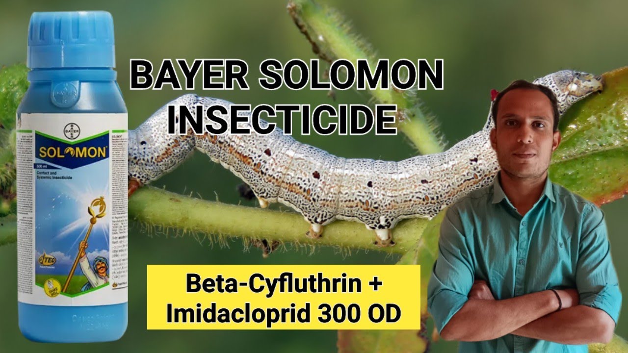 BAYER SOLOMON Insecticide | Beta-Cyfluthrin + Imidacloprid 300 OD ...