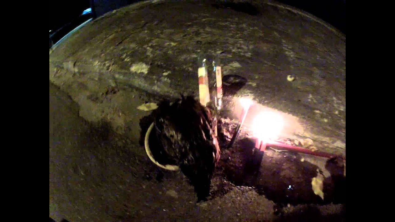 Brazilian Witchcraft - YouTube