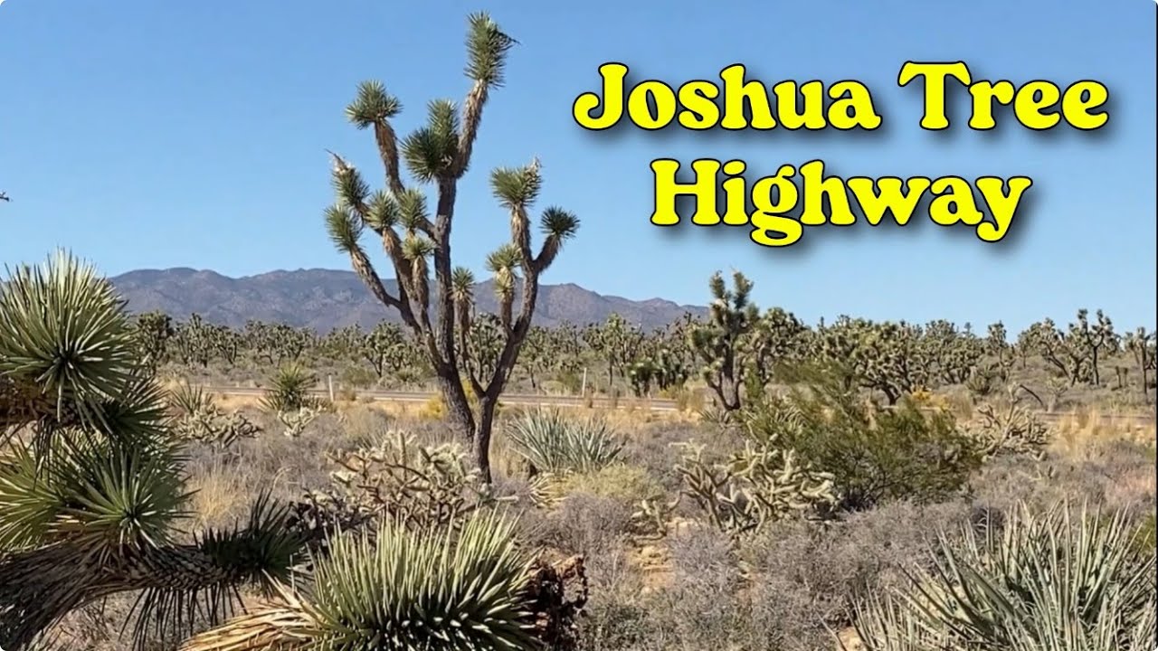 Searchlight, NV: Stoping Along the Joshua Tree Hwy - YouTube