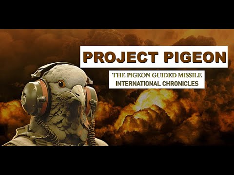 Project Pigeon: World War II's Unconventional Weapon - YouTube