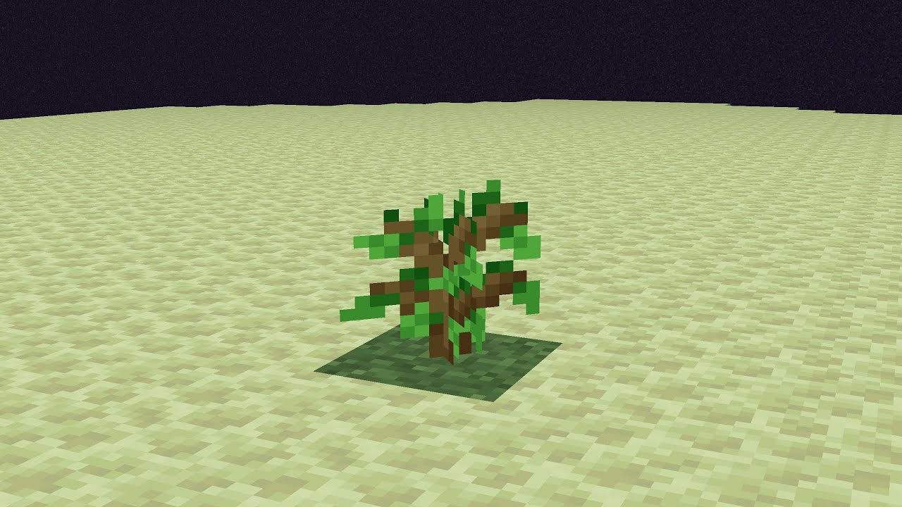 can a tree grow in end? - YouTube