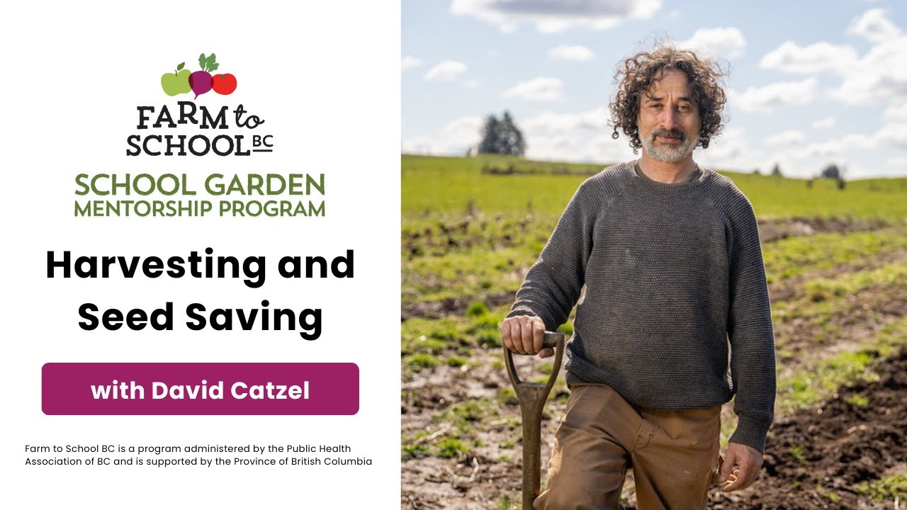 SGM 2024: Harvesting and Seed Saving - Farm to School BC - YouTube