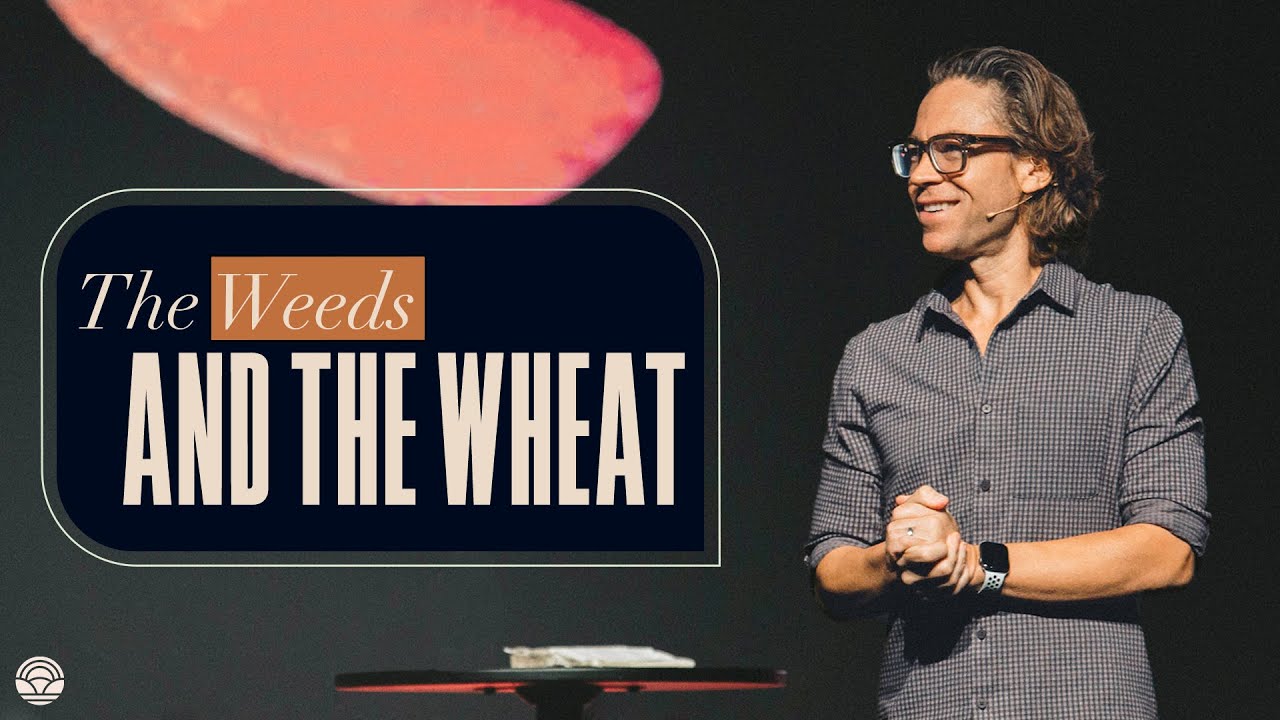The Weeds and The Wheat | Church Online | Jared Herd - YouTube