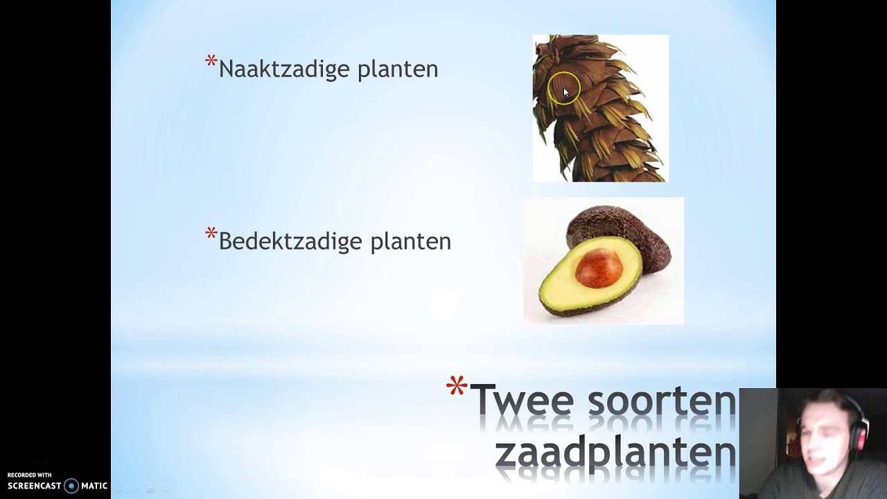 Indeling Zaadplanten - YouTube