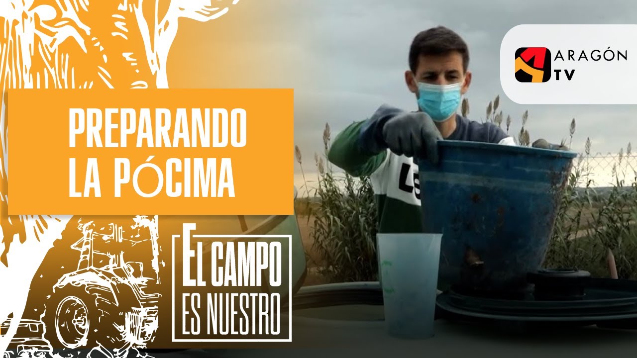 Preparando la pócima para aplicar fungicida. Manuel Conde - YouTube
