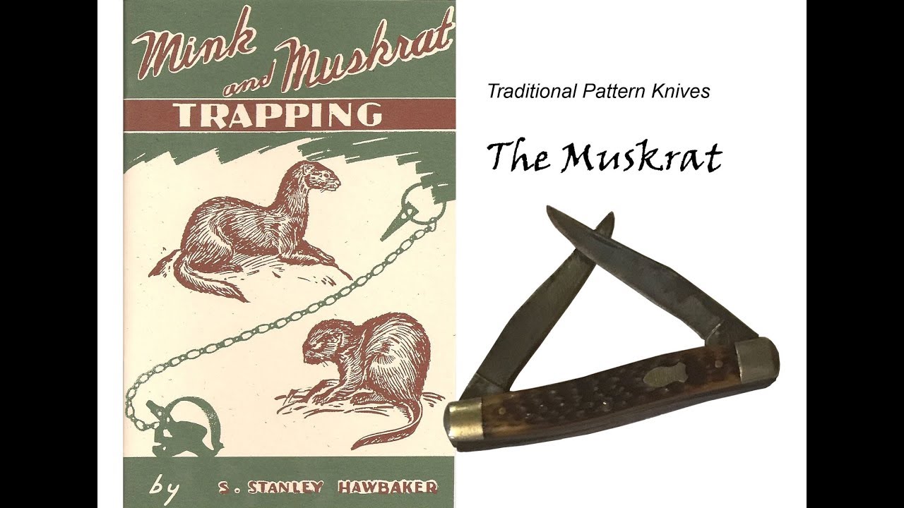 The Muskrat: A Traditional Pattern Folder - YouTube
