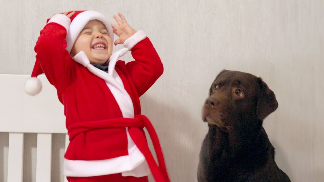 The FUNNIEST Baby Santa Reaction and His Dog! - YouTube