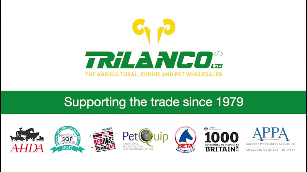 Trilanco - Moving Premises, January 2017 - YouTube