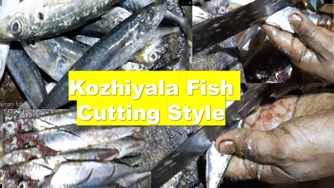 கொழியாள மீன்🦈Kozhiyala Fish Cutting Style|Fish Cutting Skills🎣# ...