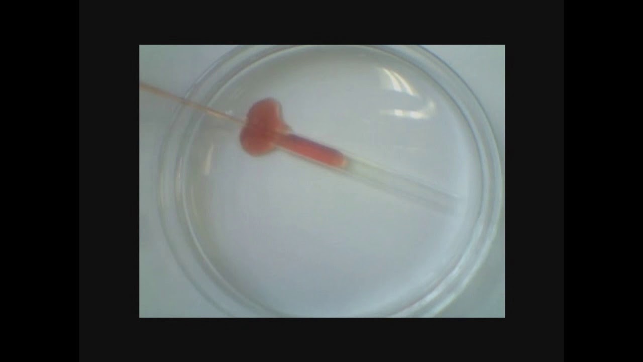 spontaneous running droplet - YouTube