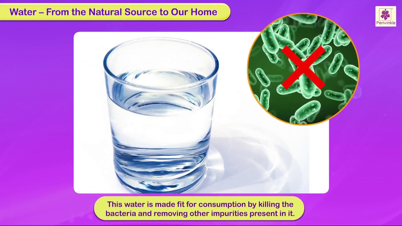 Water - The Elixir of Life | Science for Kids | Grade 3 | Periwinkle ...