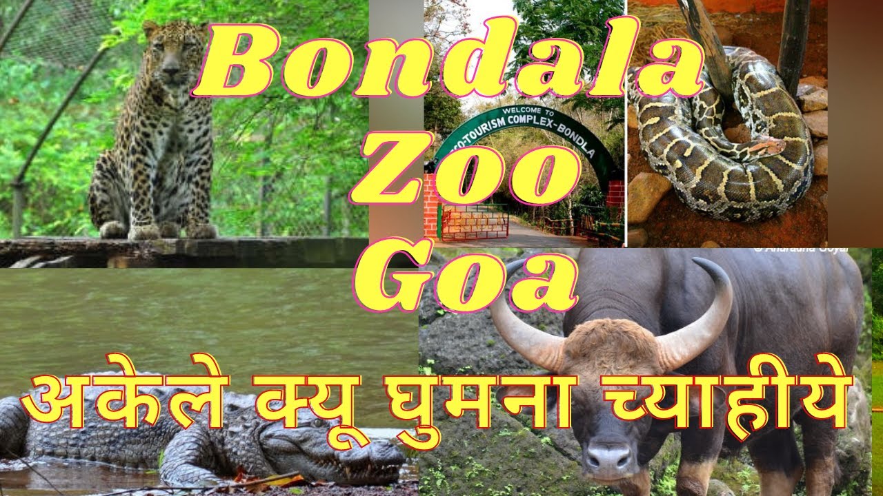 Bondla Zoo,Goa !! Why we have to travel alone by Nikhil Patil - YouTube