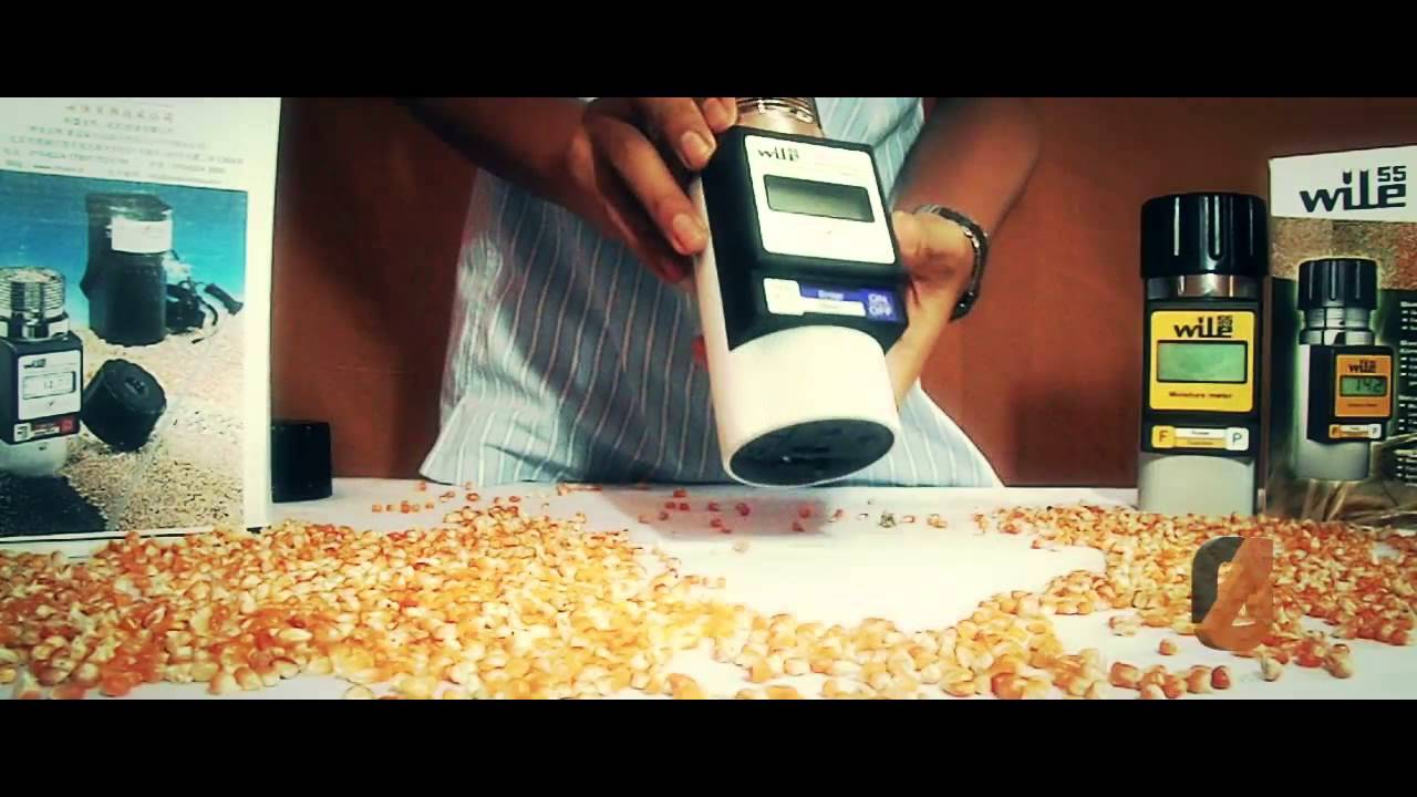 Grains Moisture Meter WILE65 - (0281) 657 2222, CV. JAVA MULTI MANDIRI - YouTube