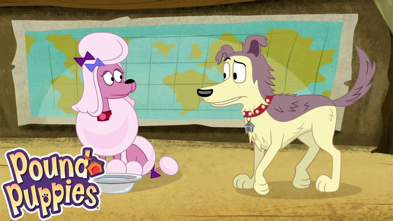 Pound Puppies | Mutternal Instincts | Season 1 | Pet Cartoon - YouTube