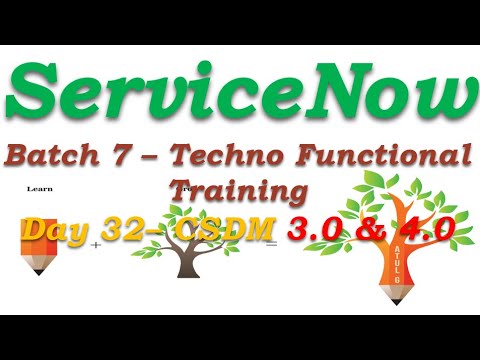 Batch 7 || Day 32 || CSDM 3.0 & 4.0 Overview ||Techno Functional Training || San Diego - YouTube
