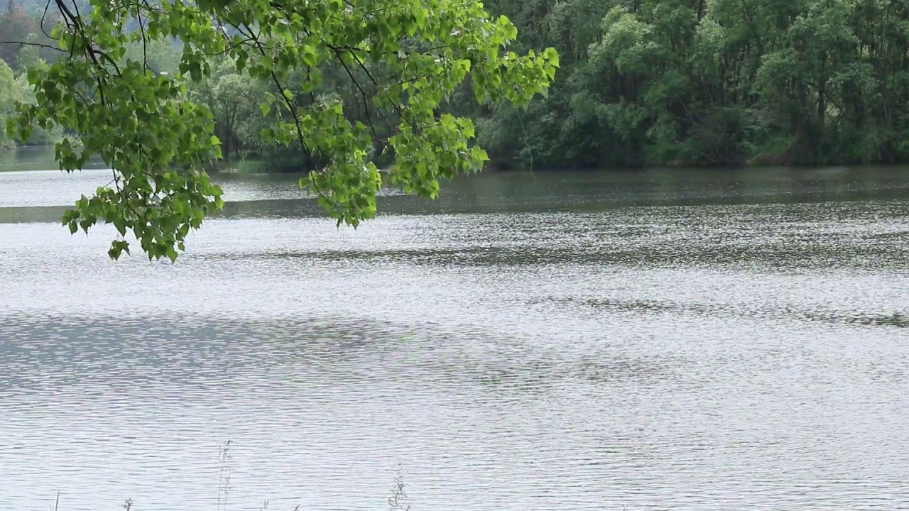 Nature sounds and soft relaxing music, music for meditation, bird ...