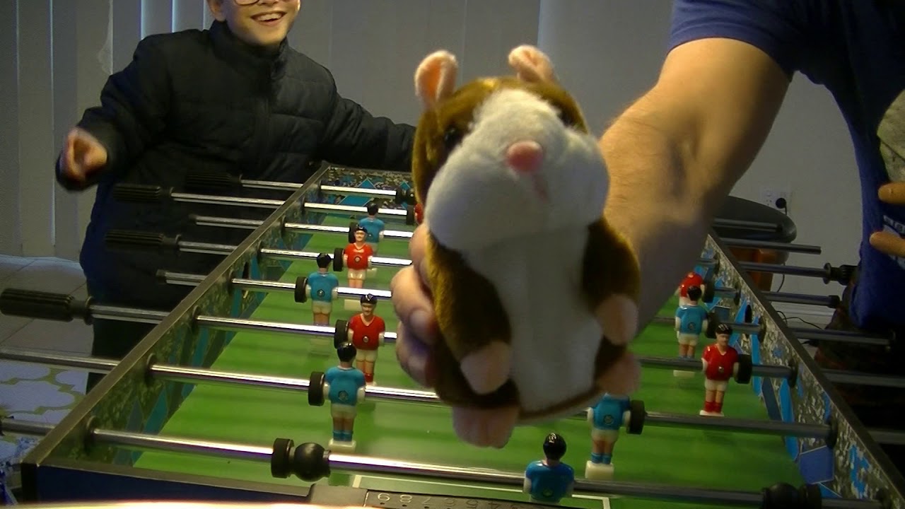 Giant Bean Boozler and Hamster Football Versus - YouTube