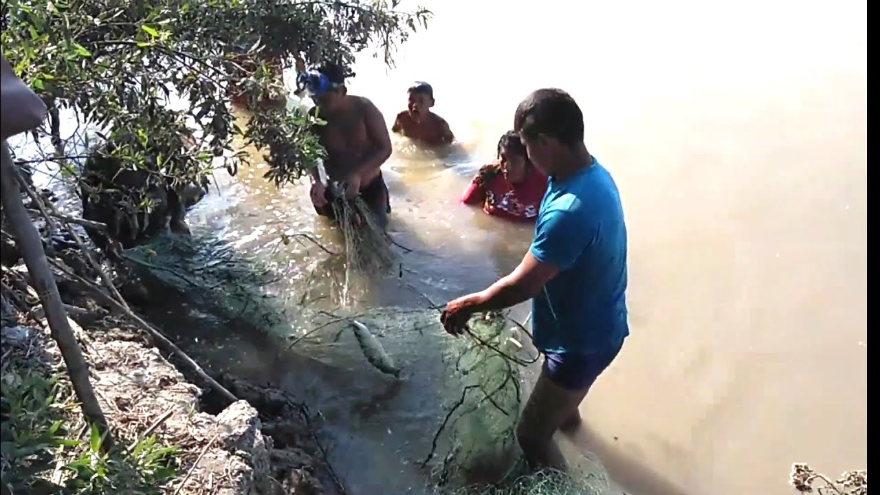 ASI SE PESCA CON RED - YouTube