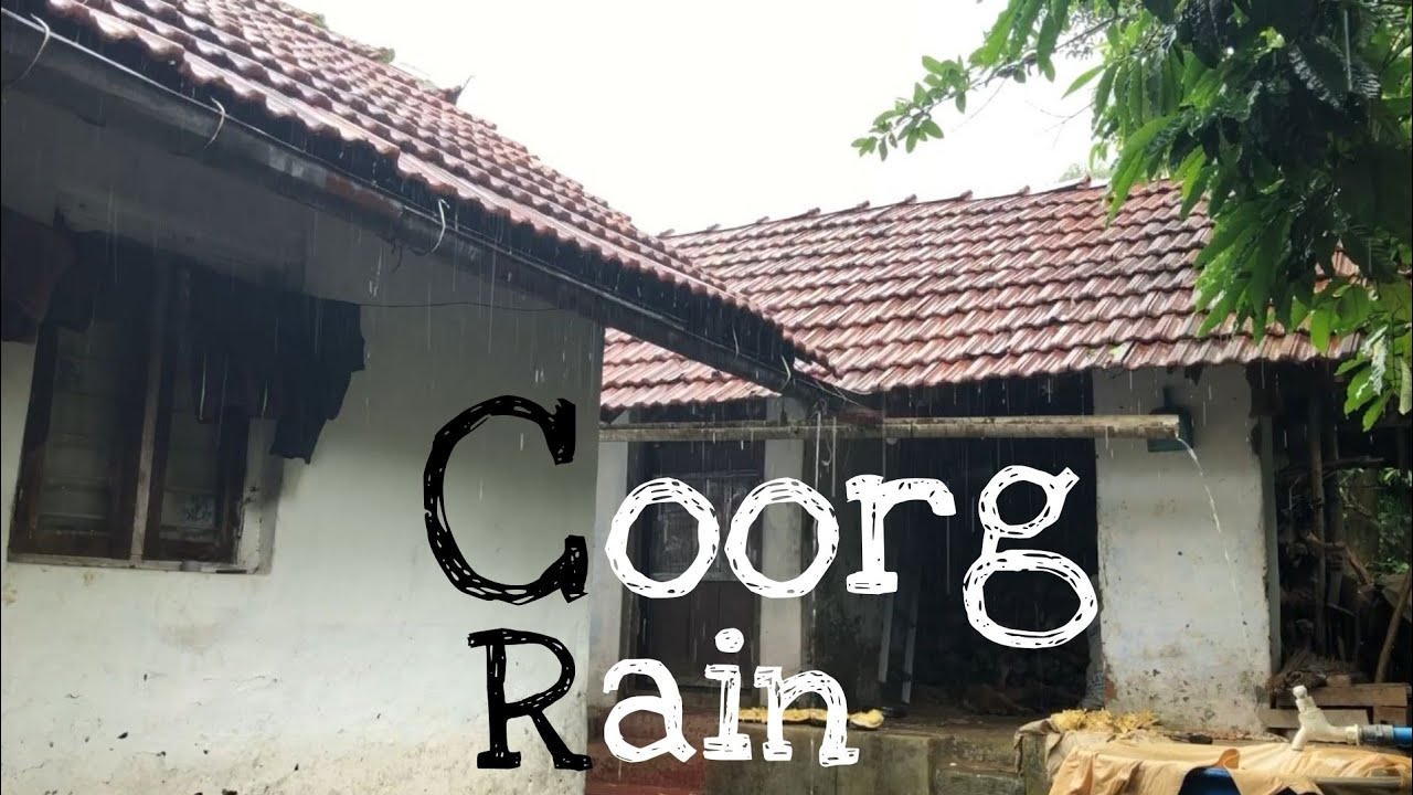 Copyright Free Rain Videos - Relaxing Coorg Rain with Cicadas Music ...