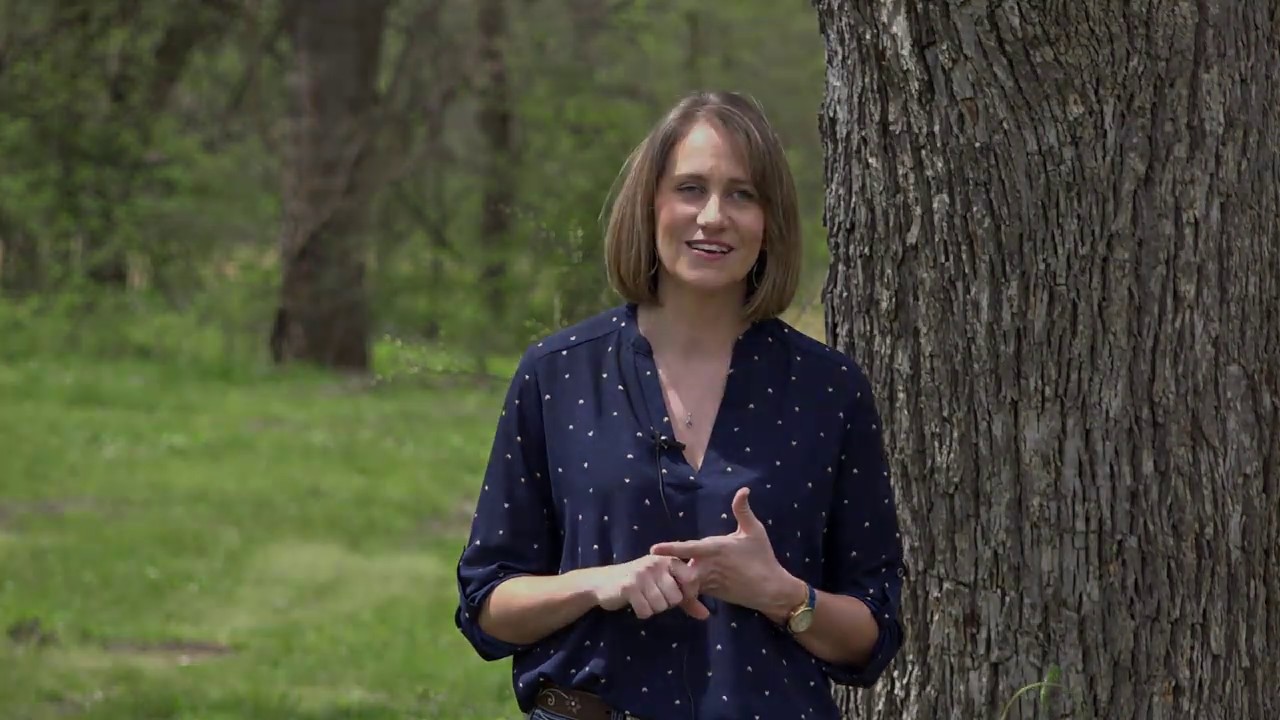 isolation: (Veterans) fighting depression and the desire to self ...