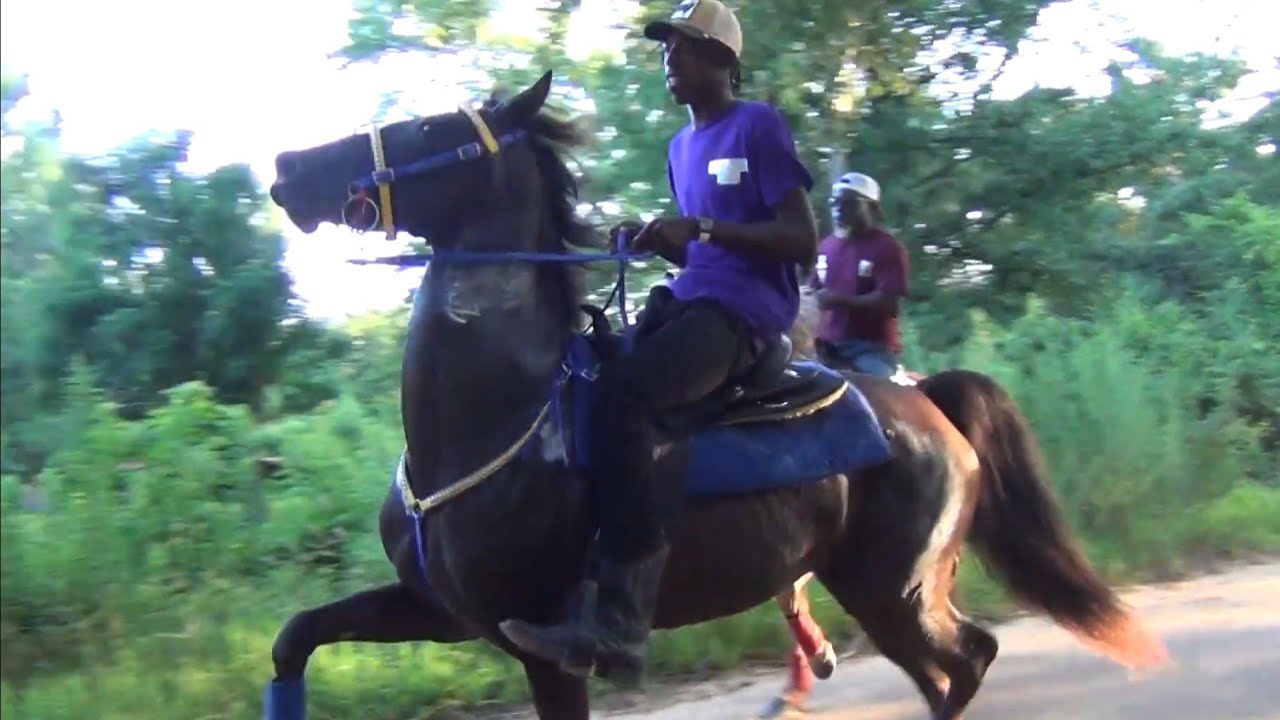 Trail Riding on Horseback at Night ! - YouTube