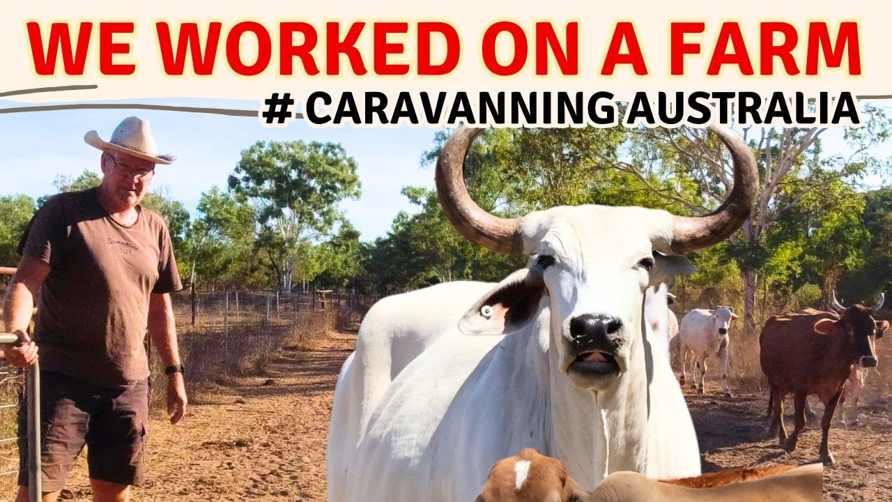 FARM WORK - in exchange for FREE STAY WITH WATER & POWER | EP140 ...