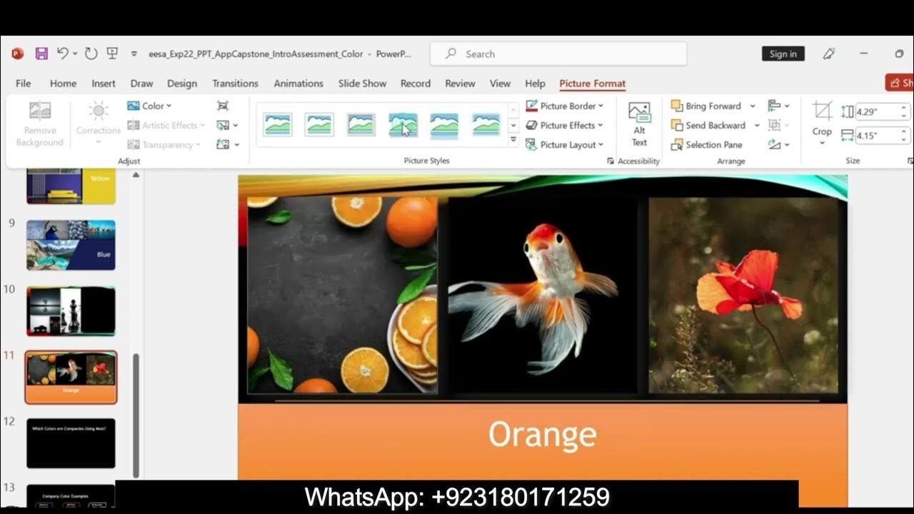 Exp22_PowerPoint_AppCapstone_IntroAssessment_Color | PowerPoint IntroAssessment Color - YouTube