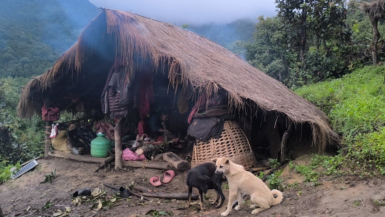 Most peaceful village lifestyle || village life rainy season relaxing ...