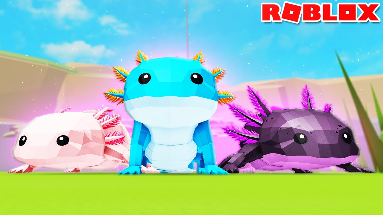 NOVO AXALOT no ROBLOX! REVELEI o SEGREDO FOFO! | Animal Simulator - YouTube