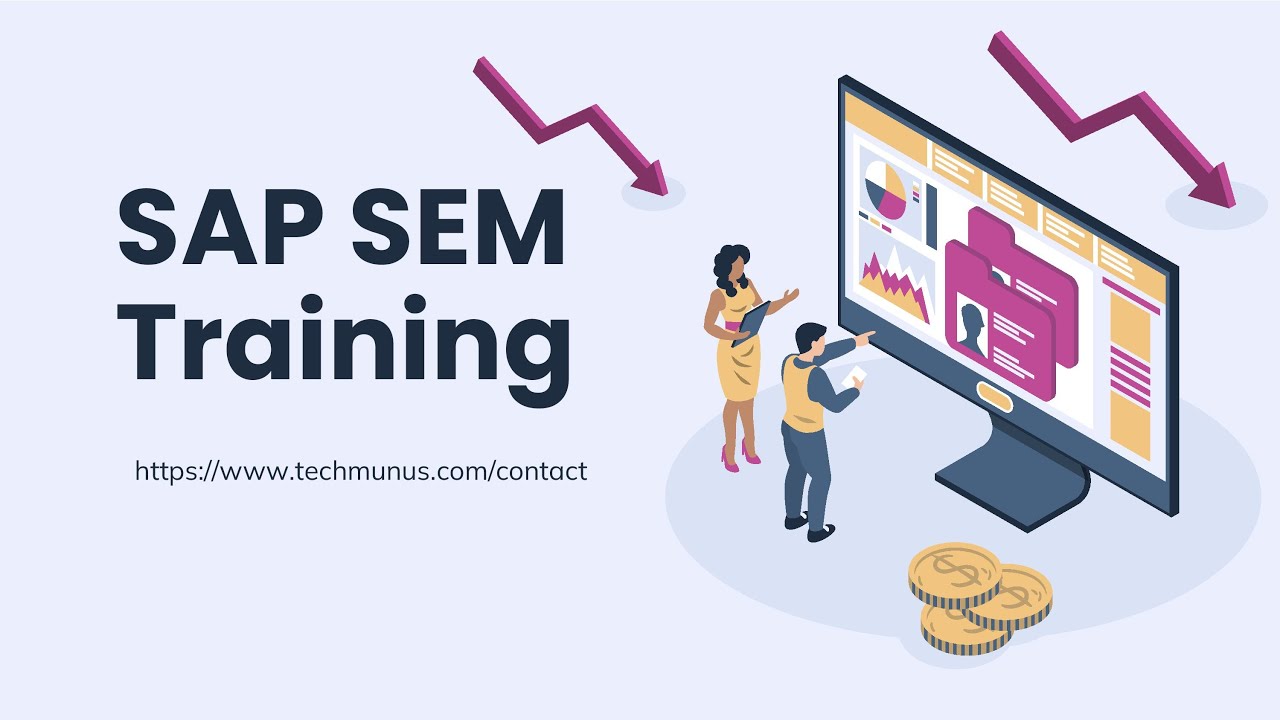 SAP SEM Training – SAP SEM Online Training (SAP SEM Certification Tips ...