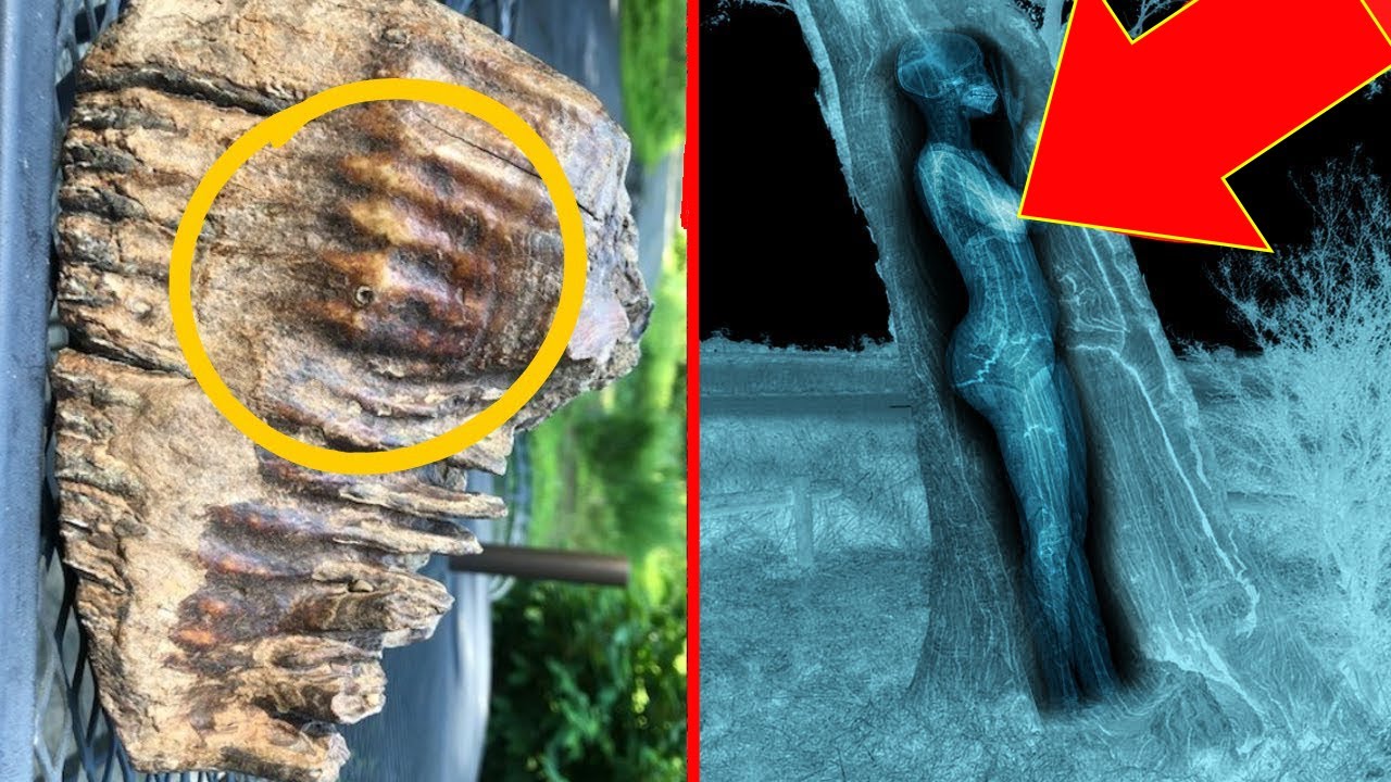 Boy Finds Weird Object In River That Stumps Archaeologists - YouTube
