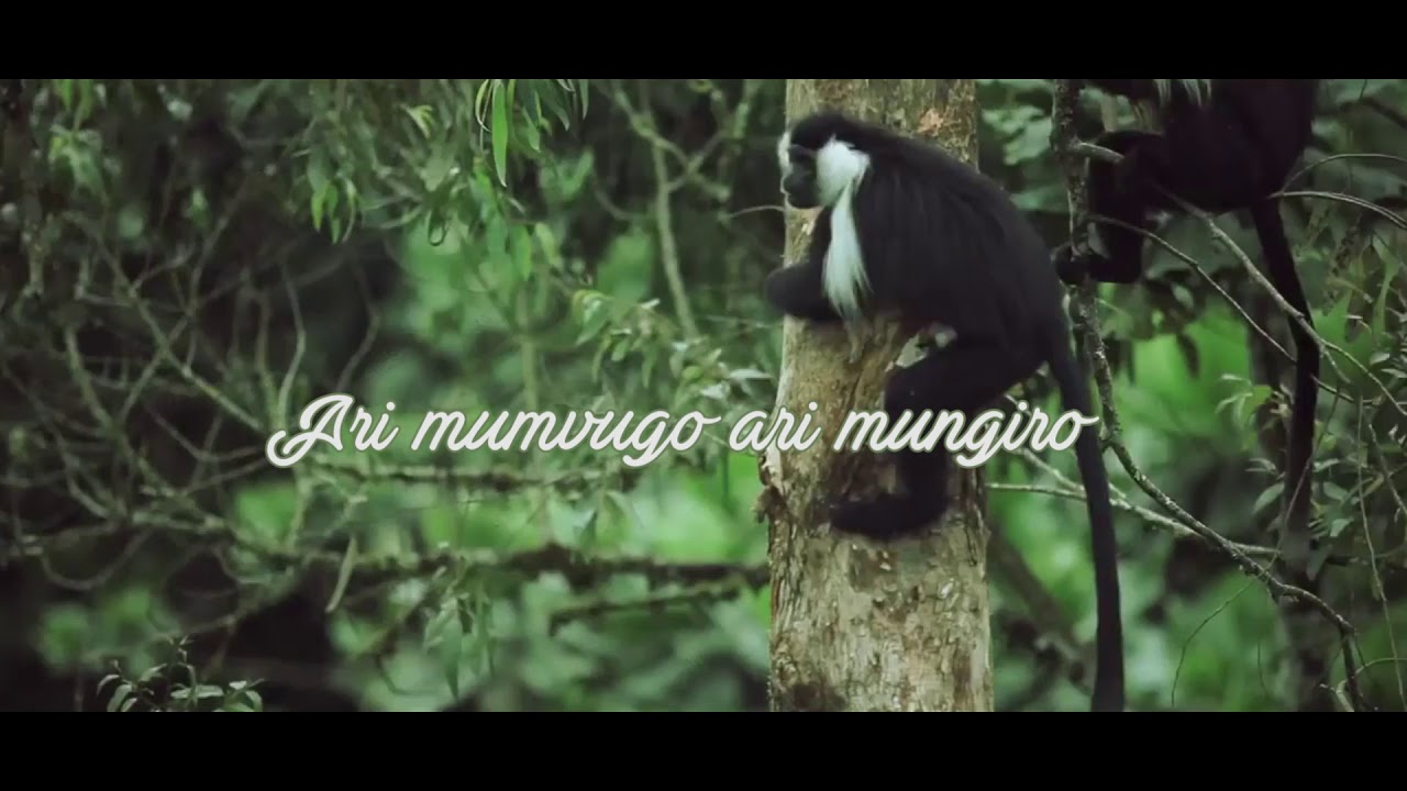 Rwanda rwiza Official lyrics by Abenegihanga legacy - YouTube