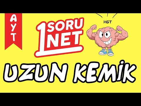 Uzun Kemik /sayfa 65/5 / AYT Biyoloji