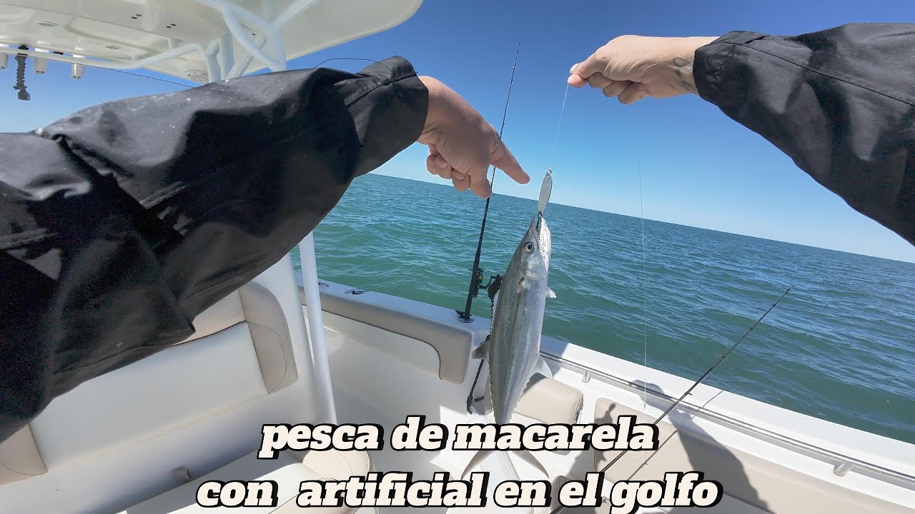 PESCA DE MACARELA A 14 MILLAS EN EL GOLFO - YouTube