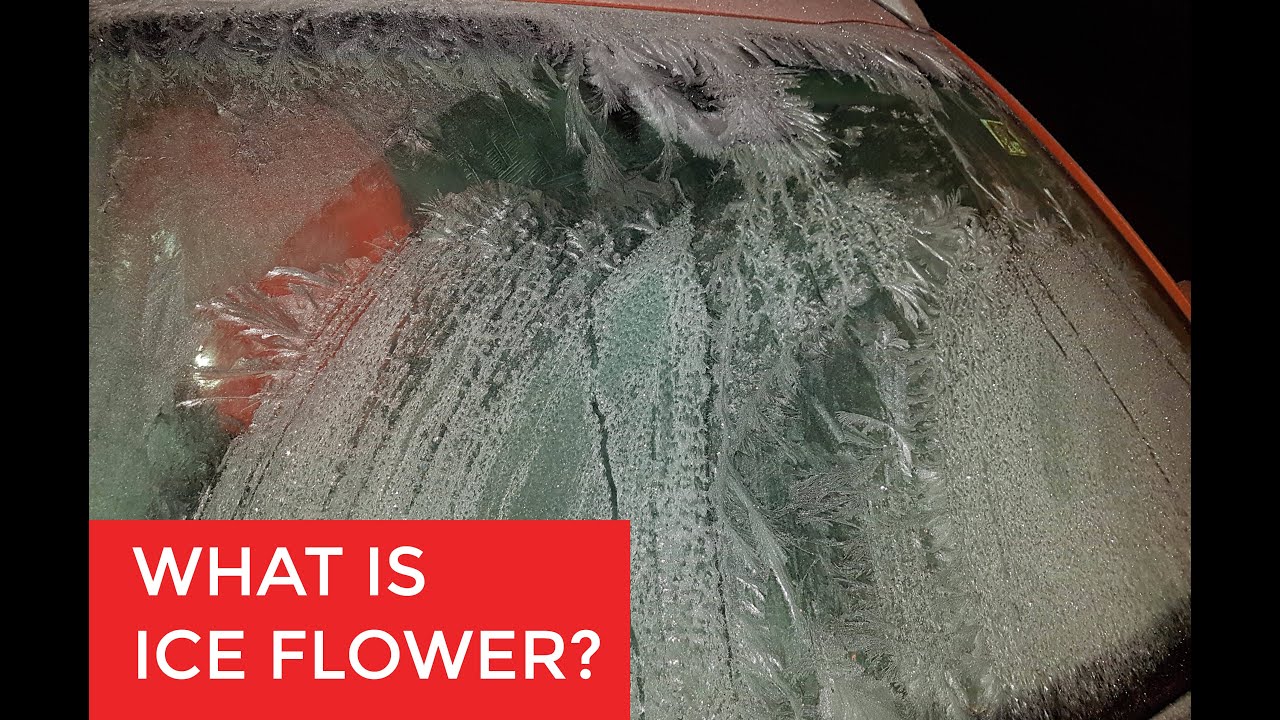What is ice flower (window frost)? (ENG / NL) - YouTube