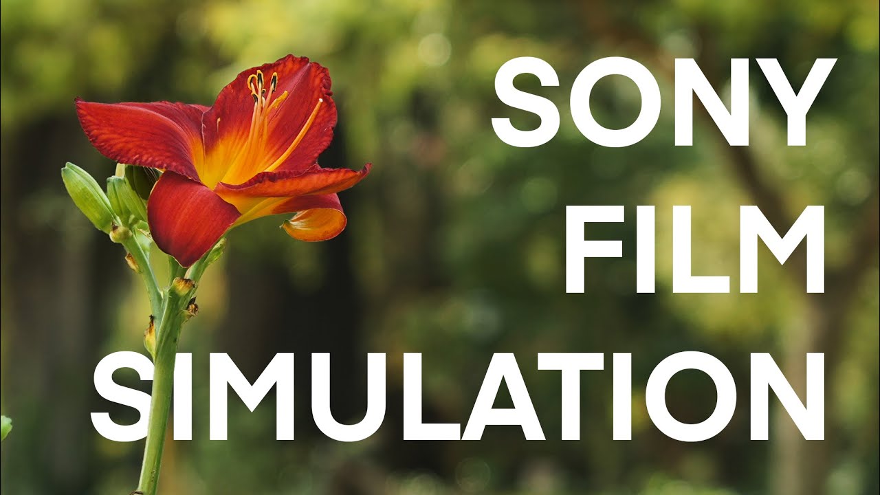 I've finally nailed my Sony JPEG Film Simulation - YouTube