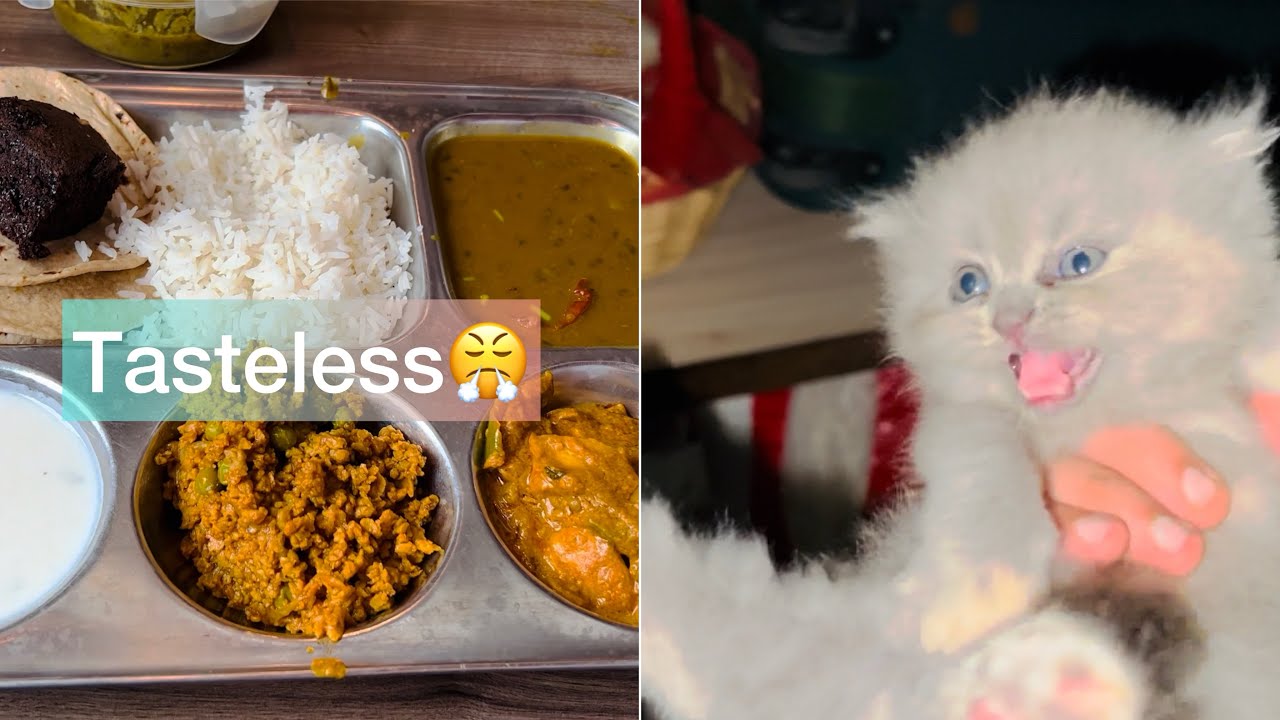 This Genpact restaurant Meal is Tasteless🥴 | Paise barbaad😂 | Genpact ...
